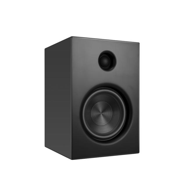 AS 50 Bookshelf Speaker with remote control