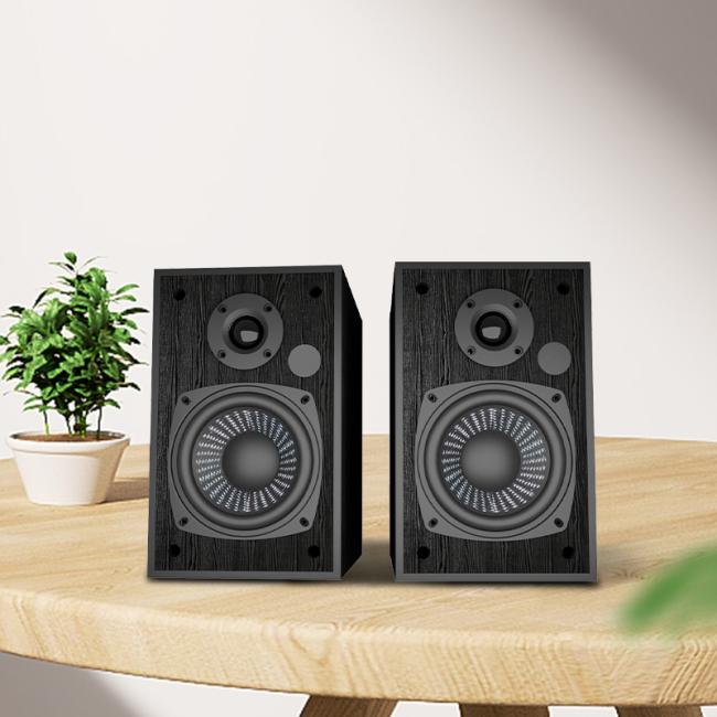 30W HiFi Speaker front view