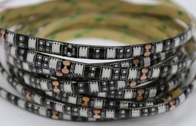 Cina Luce di striscia della decorazione SMD LED 60leds/m IP65 impermeabile per KTV in vendita