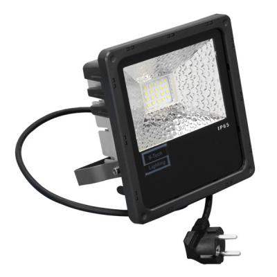 Cina IP65 alto proiettore privato di alto potere LED della muffa di luminosità 20W in vendita