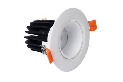 Cina Dimmable dell'interno LED giù si accende in vendita