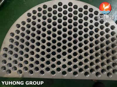 Cina ASME SA283 Gr.C Baffle a singolo segmento per applicazioni negli scambiatori di calore in vendita