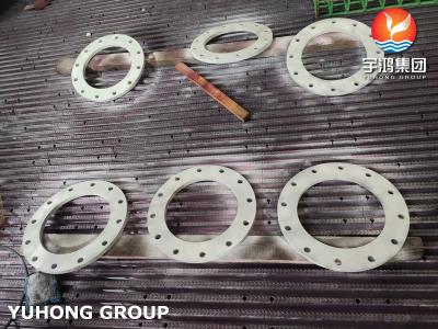 Cina ASTM A240 F904L 1.4539 AWWA C207 SOFF Flange per sistema di tubazioni in vendita