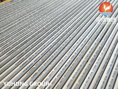 Cina ASTM A213 TP304 scambiatori di calore senza saldature e tubi per forni in acciaio inossidabile in vendita