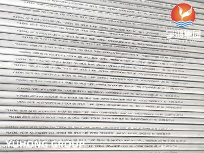 Cina ASTM A213 TP304 scambiatori di calore senza saldature e tubi per forni in acciaio inossidabile in vendita