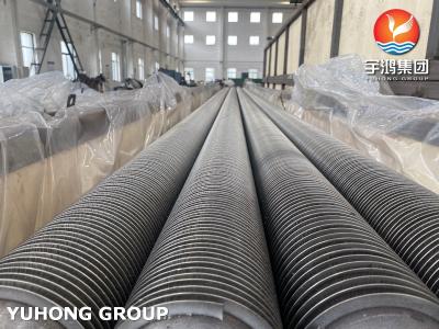 中国 ASTM A312 TP316L 不同鋼のフィンパイプ HFWタイプ 販売のため