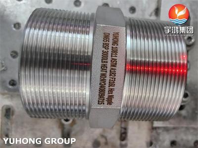 Cina ASTM A182 F316L BSP Union Hex Nipple Pressure Forging in vendita