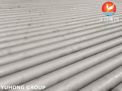 China ASTM A213 TP321(1.4541) Seamless Cold Drawn Exchanger Tube for sale