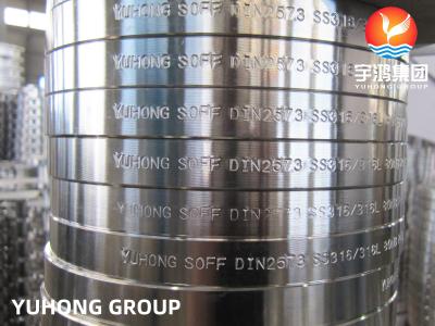 China DIN2573 F316L Stainless Steel Slip-on Flange (Flat Face) , Use In High-temperature Environments for sale