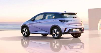 Chine BYD Pure Electric Range 401KM Compact Populaire voiture domestique Dauphin à vendre