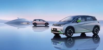 Chine BYD Pure Electric Range 401KM Compact Populaire voiture domestique Dauphin à vendre