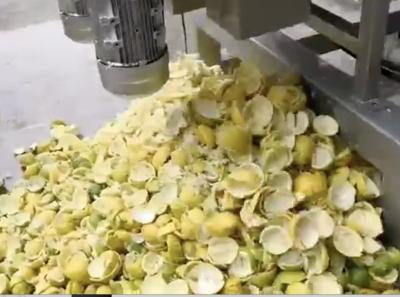 China citrus juice extract machine , citrus skin remover, citrus peeler equipment for sale