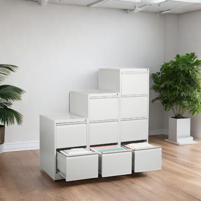 China Customized Size 2/3/4 Drawer Modern Office Metal Storage Cabinet Cheap Steel Vertical Filing Cabinet for Office or Gym Use for sale