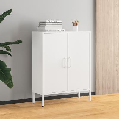 China Modern Ultra-Thin Metal Sideboard Buffet Cabinet With 2 Steel Doors Dining Room Furniture for Home Use Living Bedroom Storage for sale