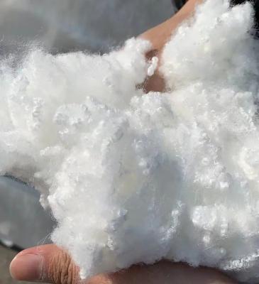 China Tecidos Poliéster Fabricado por Homem Fibras Especiarias Brancas Resistentes a Rugas à venda