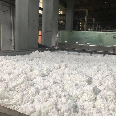 China Tecidos Poliéster Fabricado por Homem Fibras Especiarias Brancas Resistentes a Rugas à venda