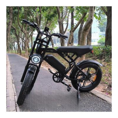 중국 방수 수준 IP54 V20 전기 자전거 250W 750W 모터 Fatbike EU E-바이크 브레이크 디스크 브레이크 판매용