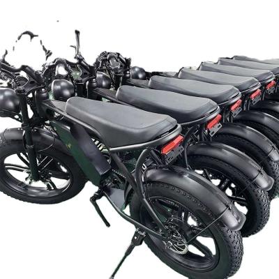 중국 방수 수준 IP54 V20 전기 자전거 250W 750W 모터 Fatbike EU E-바이크 브레이크 디스크 브레이크 판매용
