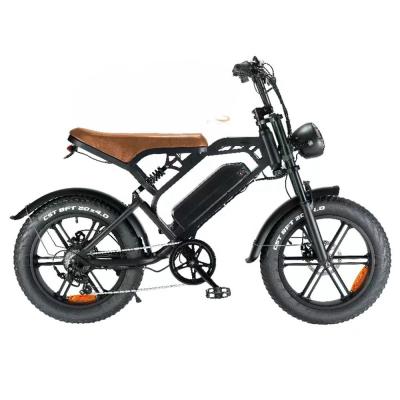 중국 방수 수준 IP54 V20 전기 자전거 250W 750W 모터 Fatbike EU E-바이크 브레이크 디스크 브레이크 판매용