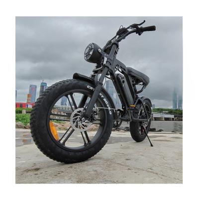 중국 방수 수준 IP54 V20 전기 자전거 250W 750W 모터 Fatbike EU E-바이크 브레이크 디스크 브레이크 판매용