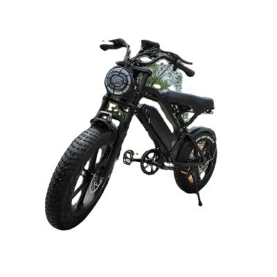 중국 250W/750W/1000W 강한 모터 뚱뚱한 바퀴 E 자전거와 편안한 운전을위한 패션 스타일 판매용