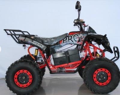 Κίνα 2WD ATV παιδιών 49cc 4 τροχών χειροκίνητες πλαστικές μικρές μοτοσυκλέτες εκτός δρόμου σχεδιασμένες για παιδιά προς πώληση