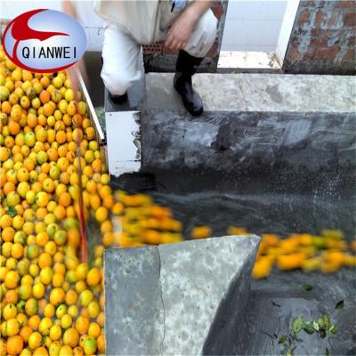 China Commercial Orange Juicer Machine Orange Juice Production Line Orange Peeler Machine Peeling for sale
