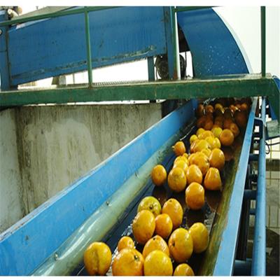 China Electric Orange Juicer Machine Orange Juice Squeezer Fruit Juice Making Machine Production Line for sale