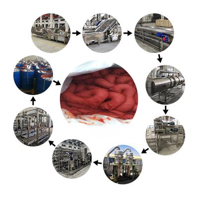 China Industry Large Production Line Mini Complete Industrial Concentrate Processing Plant Tomato Paste Making Machine for sale