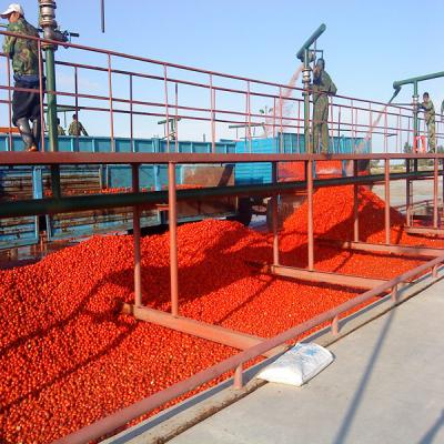 China Concenrated Tomato Paste Processing Plant Concentrated Tomato Ketchup Production Line With Turn-Key Solution for sale