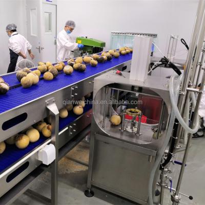 China Machine Coconut Processing Coconut Slicer Grinding Machine Coconut Peeler Shelling Machine for sale