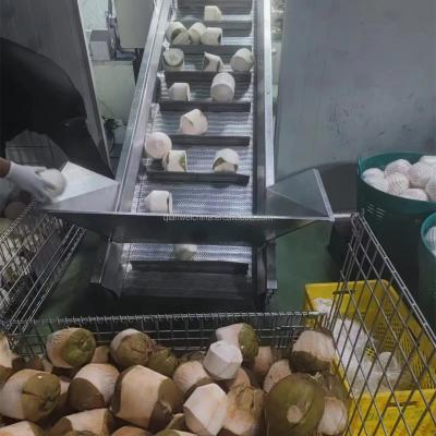 China Coconut Oil Expeller Extracting Processing Machine Coconut Cutting Water Extractor Machine for sale