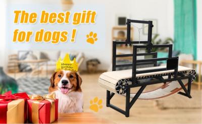Chine Taille personnalisée Tapis de course pour chiens Alipetsmile Entraînez votre chien avec facilité et efficacité à vendre