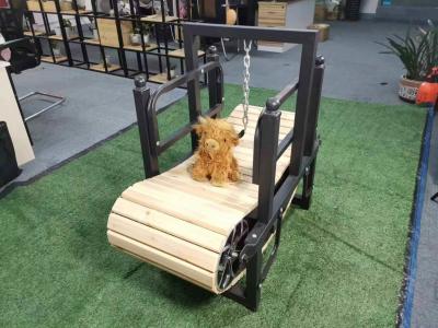 Chine Le tapis de course pour chiens en acier inoxydable préféré des grands animaux pour l'exercice et l'entraînement en plein air à vendre