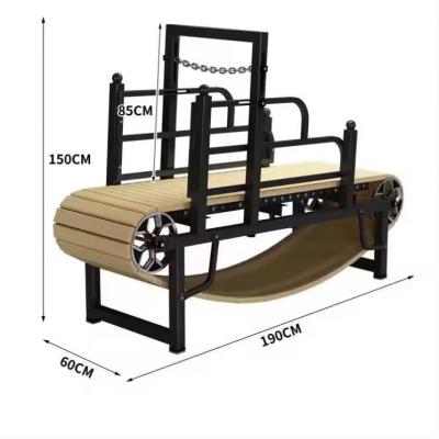 Chine Solution de fitness pour animaux de compagnie tapis roulant pour chiens avancés Taille et logo personnalisés pour les grandes races à vendre
