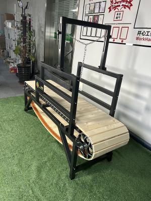 Chine Solution de fitness pour animaux de compagnie tapis roulant pour chiens avancés Taille et logo personnalisés pour les grandes races à vendre