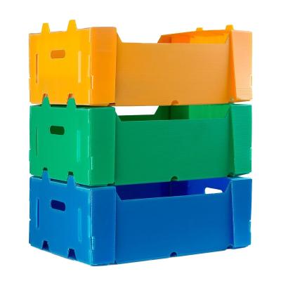 China Corrugated PP Plastic Storage Tray for Fruit Vegetables Food Using for sale
