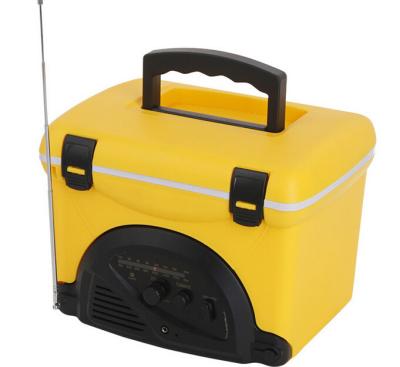 Cina Scatola di plastica gialla del dispositivo di raffreddamento del volume 5L della borsa pp del dispositivo di raffreddamento della radio di FM all'aperto in vendita