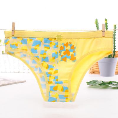 China Funny Printing Nylon China Supplier Lady Underwear en venta