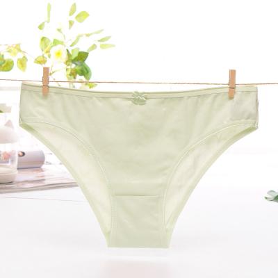 China Jacquard Nylon Spandex Ladies Sexy Inner Wear Underwear en venta