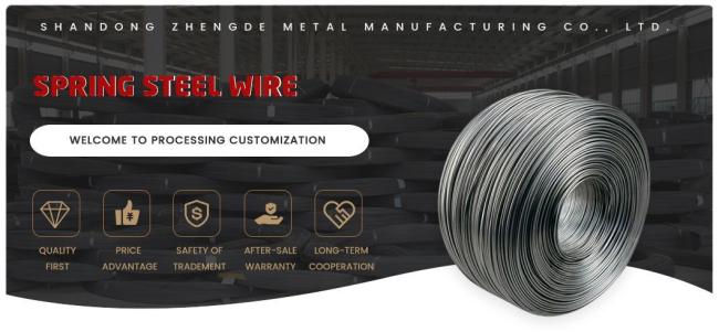 Factory Annealed 1mm 2mm 3mm Diameter Spring 304 Hot Rolled Cold Rolled Stainless Steel Wire Spring Wire High Carbon Spring Steel Wire