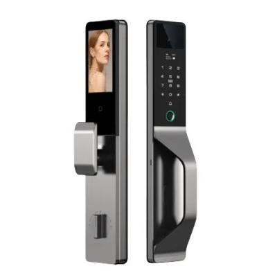 China Aluminum Door Slim Smart Mortise Lock Hook Waterproof Keyless for sale