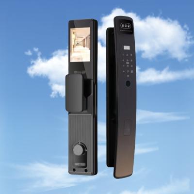 China Automatic Biometric Digital Lock for Home Smart Lock Outdoor Wifi Smart Lock for sale