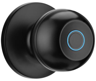 China Encoder Card Handle Door Lock Digital Door Lock Knob Silver With Electric Power Switch for sale