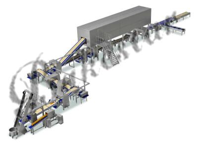 China De Productielijn van het Ciabattabrood 1000kg/Hr Baguette met Chunker Te koop