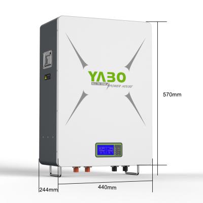 Cina Batteria grande 24v Lifepo4 Powerwall 48v 100Ah 150Ah 200Ah 230Ah in vendita