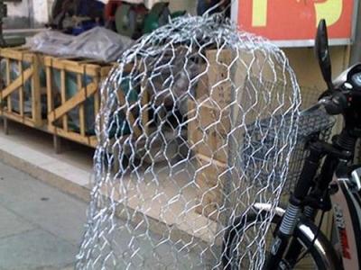 Cina Protezione della tasca a rete esagonale in lega resistente alla corrosione e alla trazione in vendita