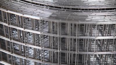 Cina 2 x filo di acciaio saldato 2 Mesh Galvanized 304 304l 316 316l inossidabili in vendita