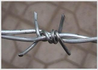 Cina La immersione calda del filo spinato del doppio filo di BWG 12 ha galvanizzato il bello uso in vendita