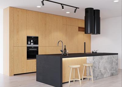 Cina Armadi da cucina modulari moderni con il controsoffitto di pietra della barra dell'isola e del quarzo nero in vendita